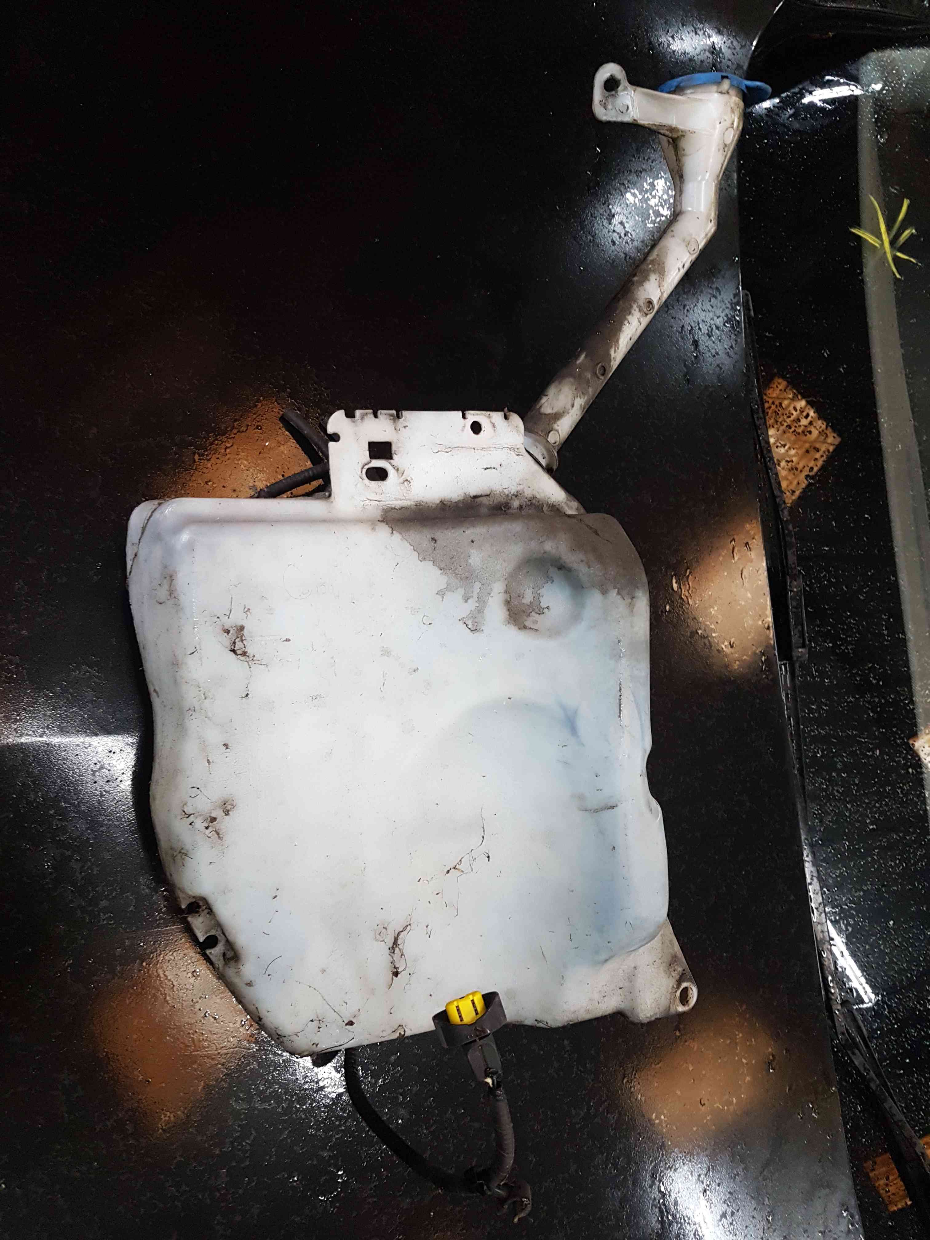 Nissan Qashqai 2006-2013 Windscreen Washer Bottle Xenon 2 Pumps | Store